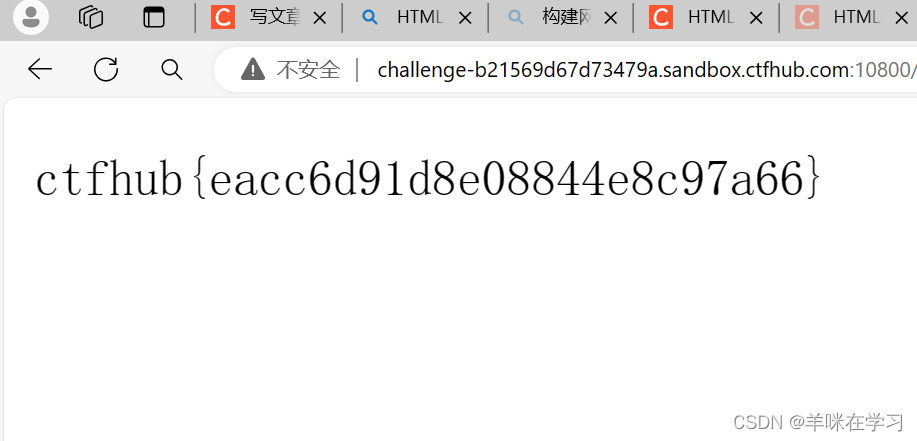web学习~ctfhub_ctfhub目录遍历-CSDN博客