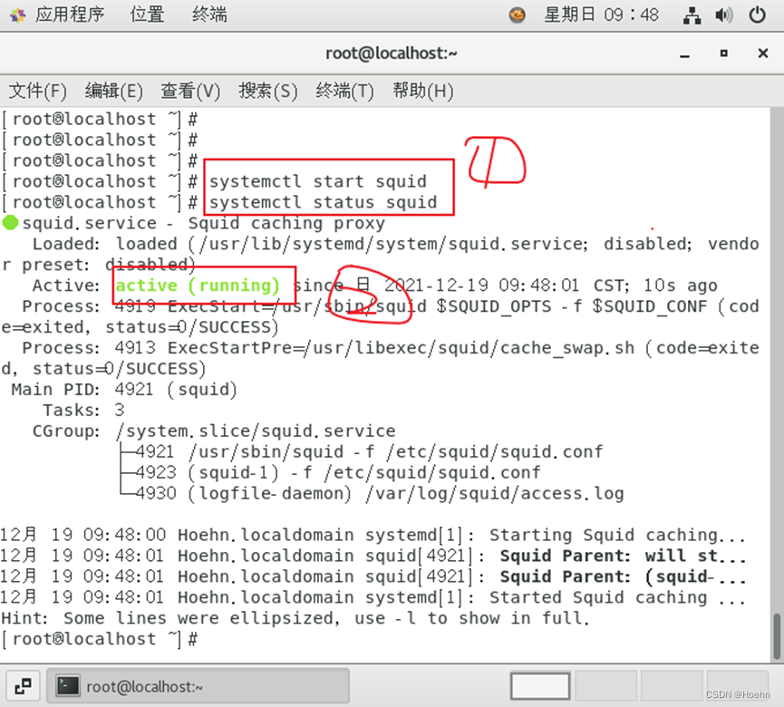 Squid代理服务搭建_squid proxy-CSDN博客