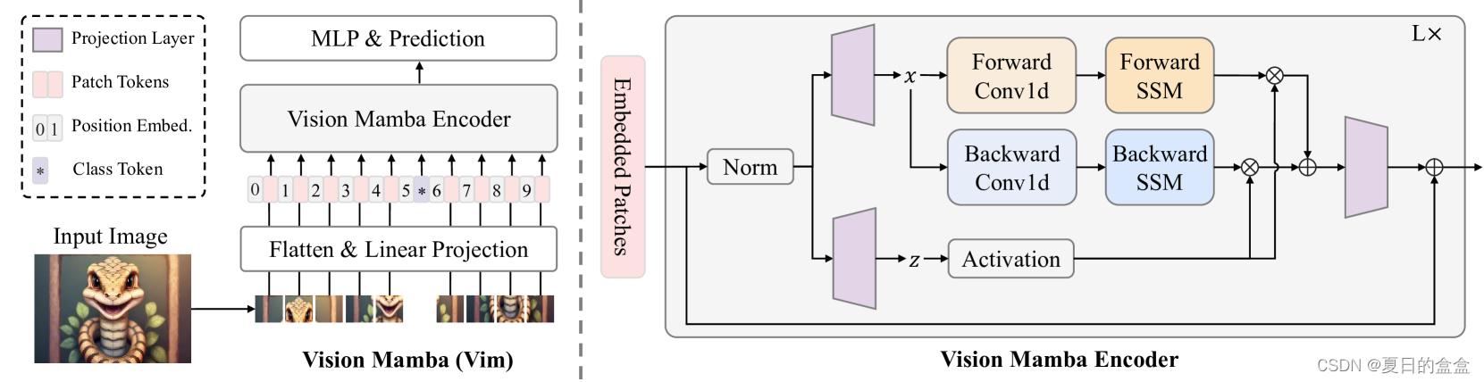 《Vision Mamba: Efficient Visual Representation Learning with Bidirectional State Space Model》论文 ...