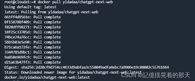 利用GitHub开源项目ChatGPTNextWeb构建属于自己的ChatGPT - Docker_chatgpt-next-web github-CSDN博客
