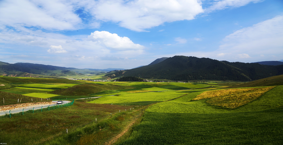 Harris角点检测 及 Matlab实验_matlab实现harris角点检测-CSDN博客