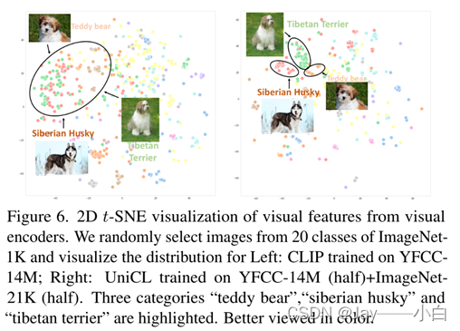 文献阅读：Unified Contrastive Learning in Image-Text-Label Space-CSDN博客