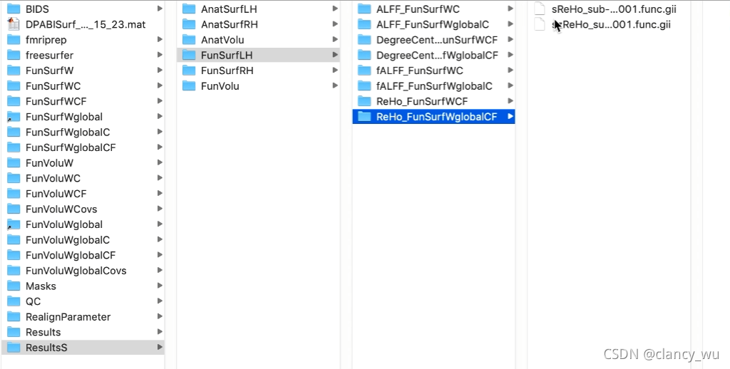 神经影像学研究：DPABISurf后的统计分析与应用-CSDN博客
