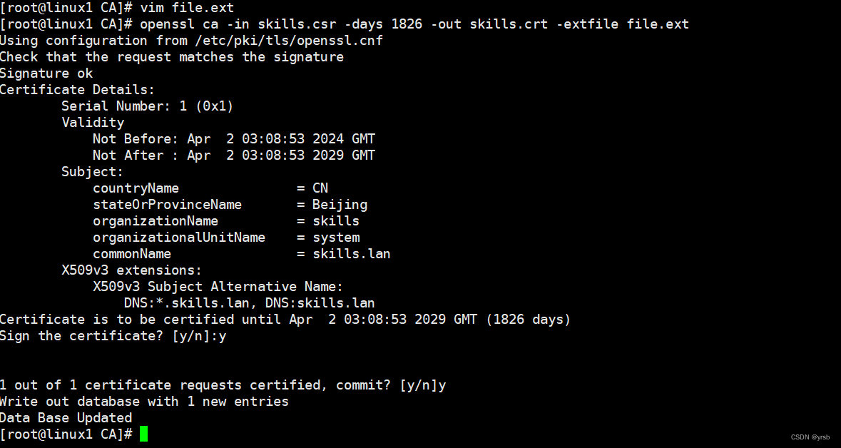 22年国赛正式题（服务）_cp -a named.localhost named.skills cp -a named.loo-CSDN博客