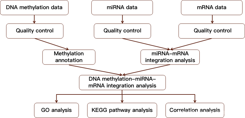 DNA甲基化、miRNA、mRNA联合分析_mrna和mirna联合分析-CSDN博客