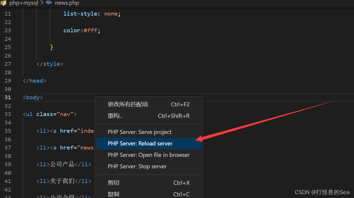 Viscode运行PHP项目-CSDN博客
