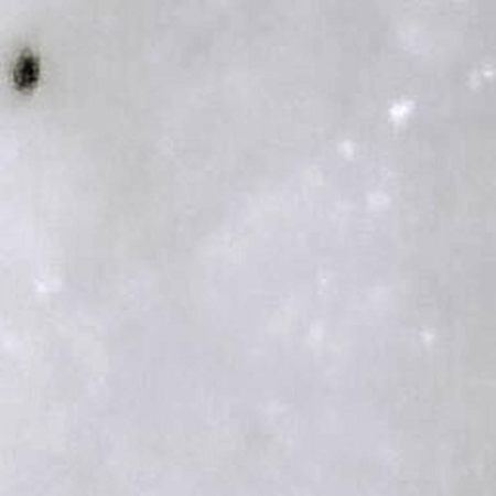 不同类别的墙体瑕疵识别-python-CNN深度学习含数据集pytorch环境-含数据集+pyqt界面-CSDN博客