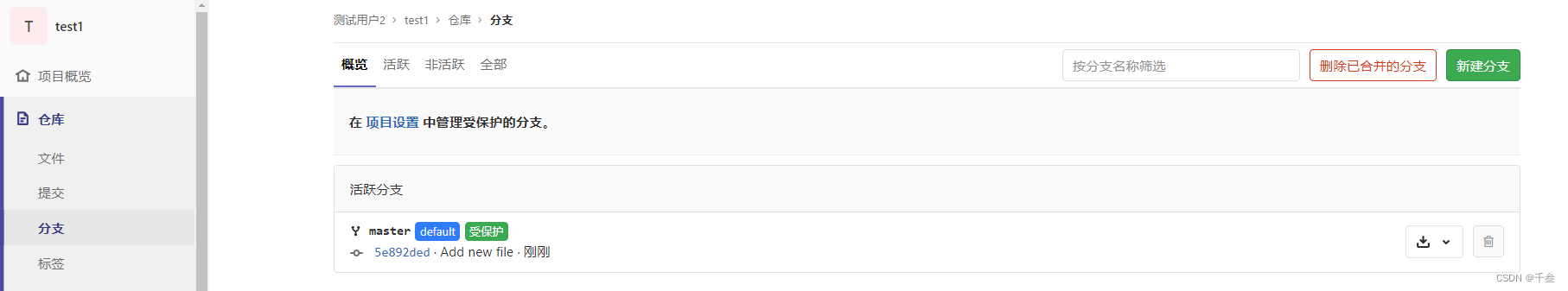 Gitlab创建一个空项目_project slug-CSDN博客