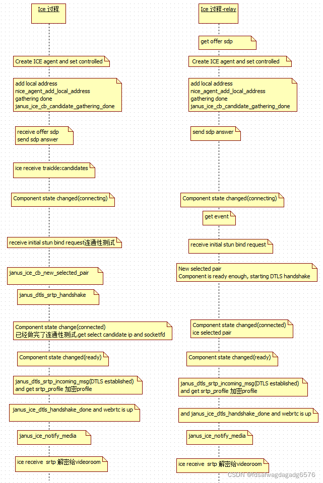 Janus Ice 流程图-CSDN博客