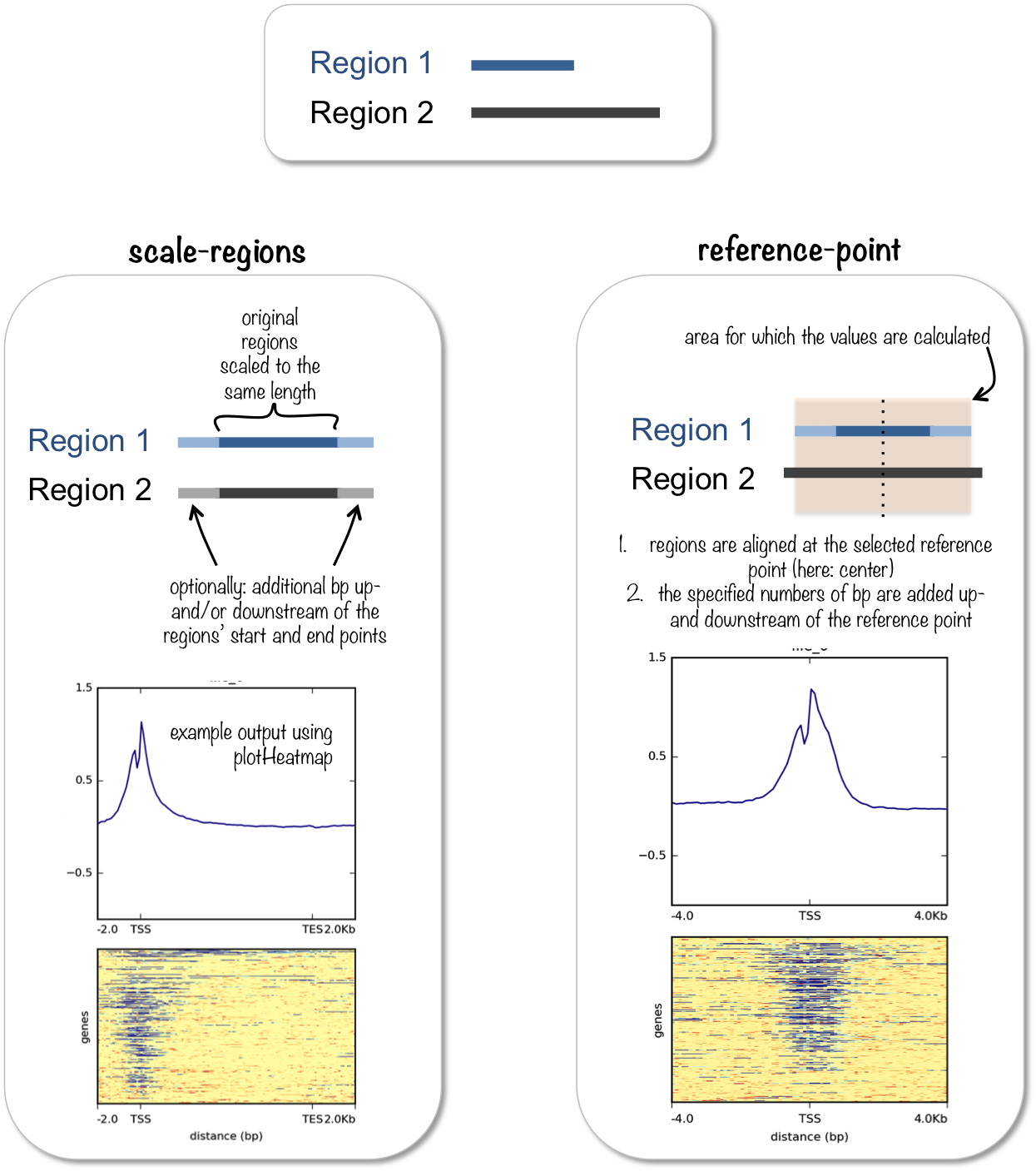 如何使用deeptools处理BAM数据-CSDN博客
