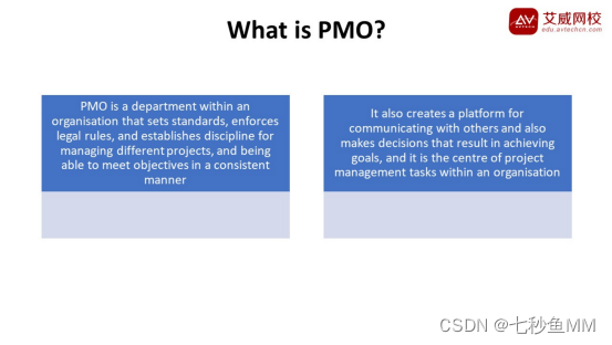 PM到PMO的进阶转型干货分享|满满干货_pmo的晋升-CSDN博客