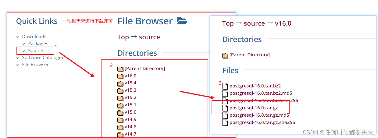 Postgresql在linux环境下以源码方式安装_pg12.16linux安装教程-CSDN博客