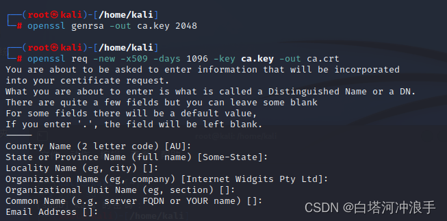 利用SSLsplit+arpspoof 实现ARP欺骗劫持流量_openssl流量劫持-CSDN博客