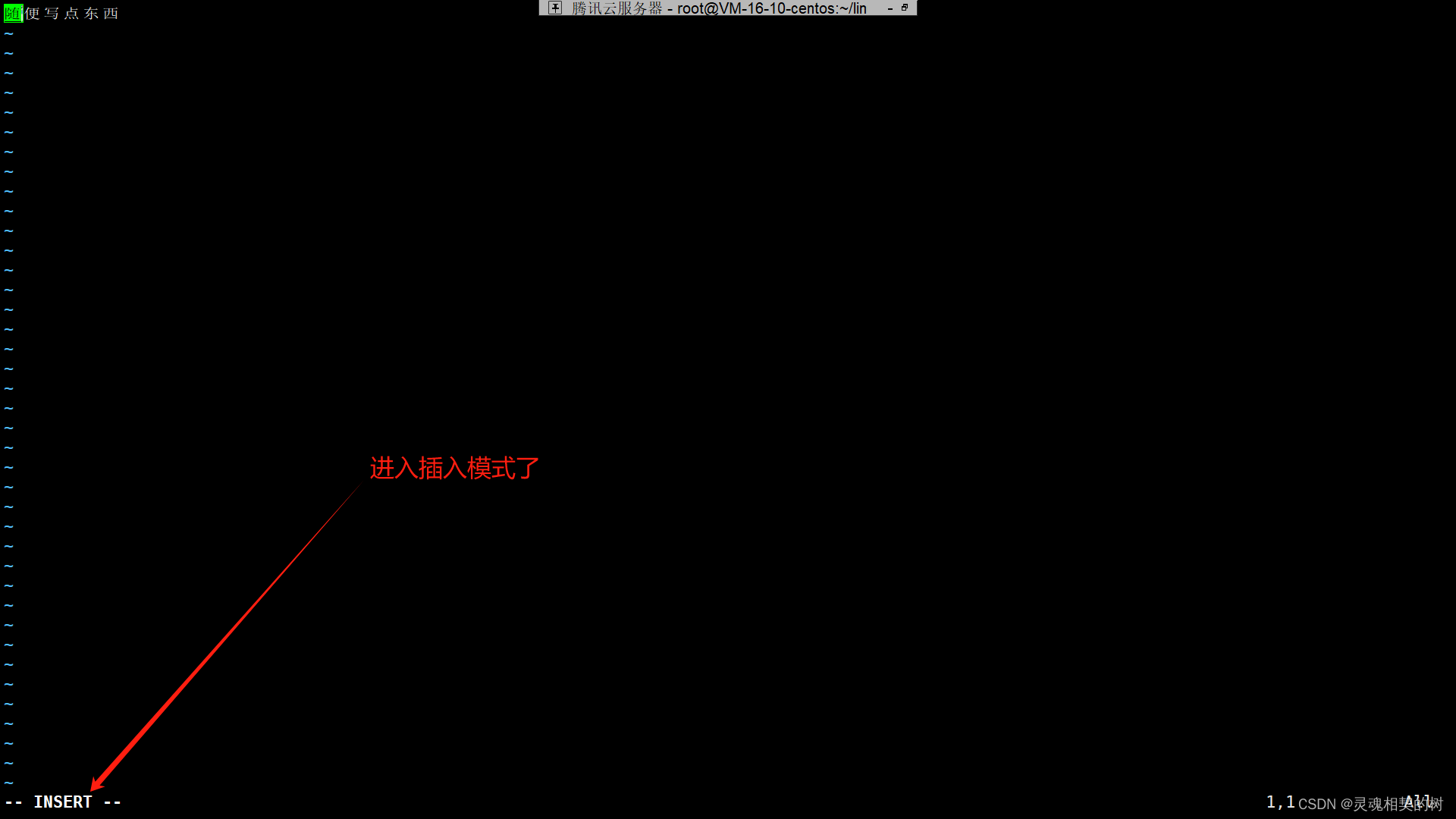【linux】java 程序员必会的 Linux 最常用的命令java Linux常用命令 Csdn博客