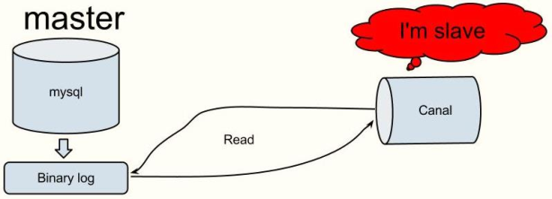 Canal 采集MySQL binlog日志_canal采集binlog-CSDN博客