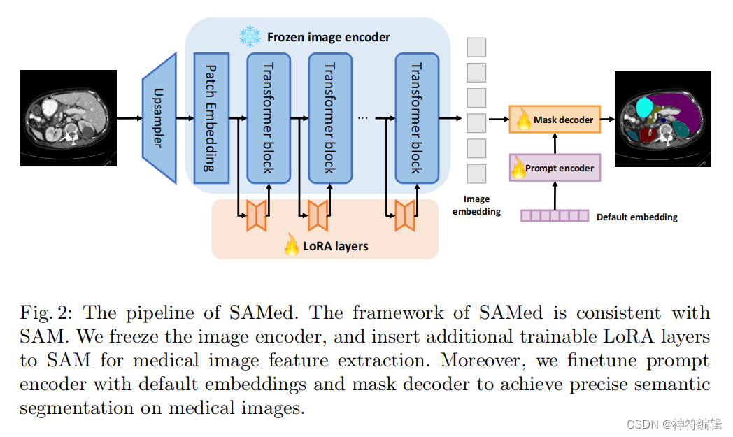 使用SAM为医学图像定制分割模型（2023+Customized Segment Anything Model forMedical Image Segmentation，微调）_最新的病理 ...