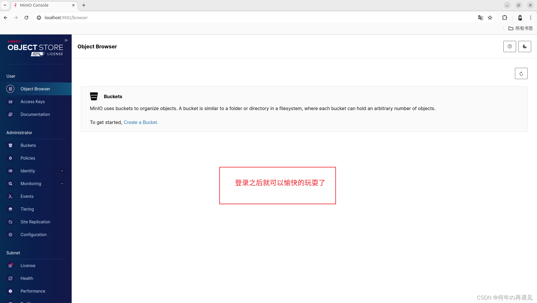 Linux(Ubuntu24.04) 安装 MinIO_ubuntu24.04安装minio-CSDN博客