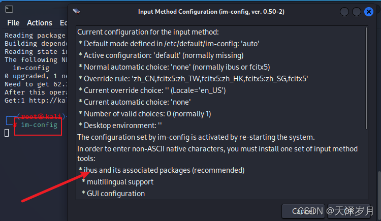 kali linux安装中文输入法（ibus）_kali ibus-CSDN博客