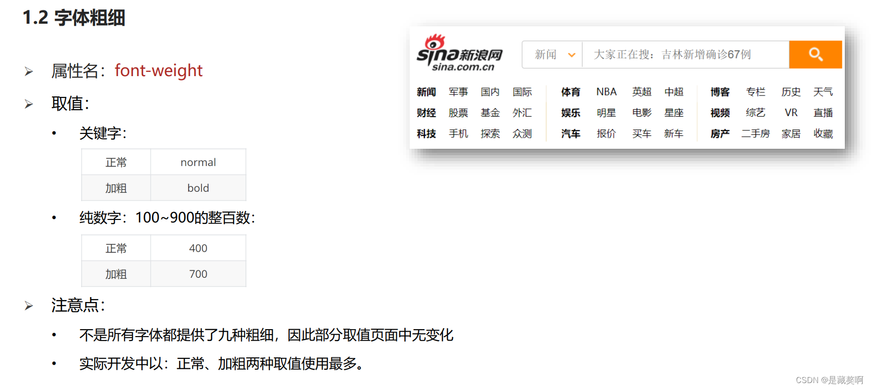 前端学习Day03-CSDN博客