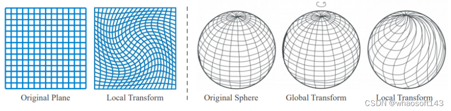 Neural-Gauge-Fields-CSDN博客