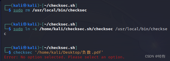 checksec：Too many levels of symbolic links-CSDN博客