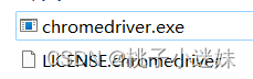 selenium.common.exceptions.WebDriverException: Message: ‘chromedriver ...