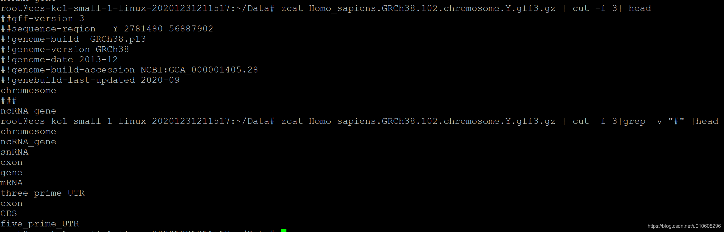 生物信息学常见数据格式 • fasta • fastq • gff/gtf 练习题_gff3或者gtf文件 练习-CSDN博客