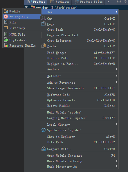 使用IntelliJ IDEA配置Erlang开发环境_erlang idea-CSDN博客