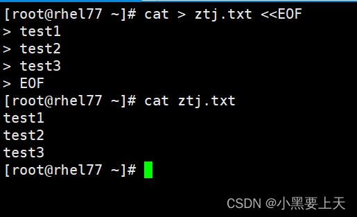 Linux命令(23)之cat_linux cat-CSDN博客