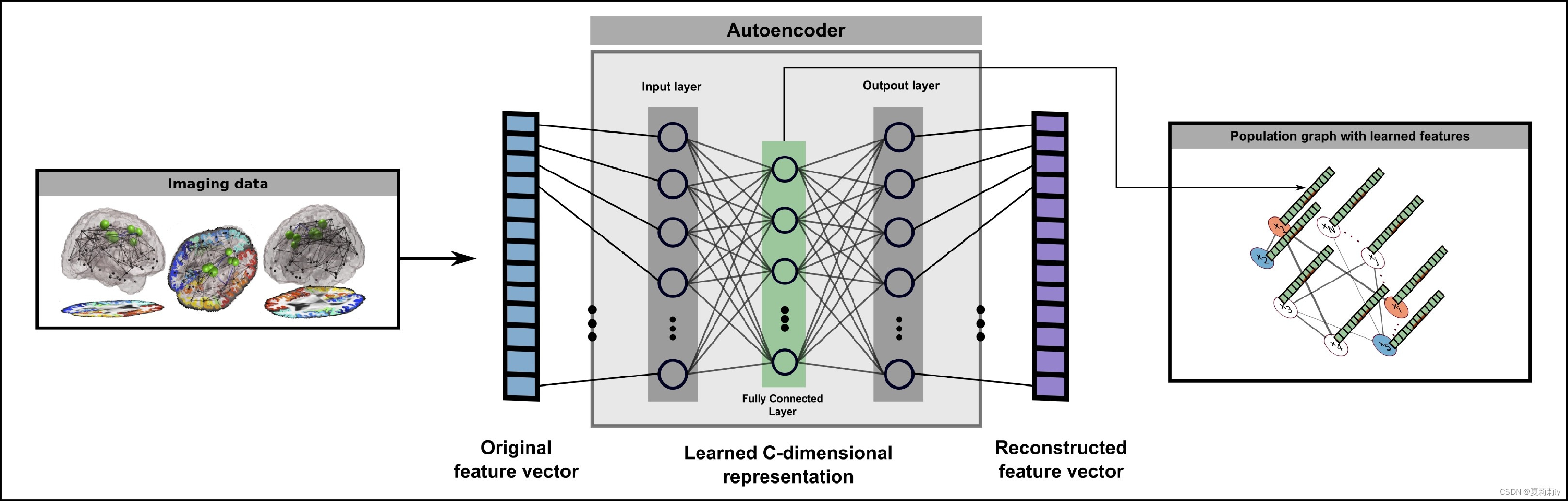 [论文精读]Disease prediction using graph convolutional networks ...