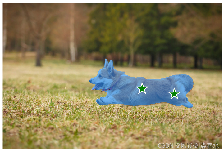 【SAM导出】使用torch.onnx.export将pth格式导出为onnx格式（Pytorch代码详解）-CSDN博客