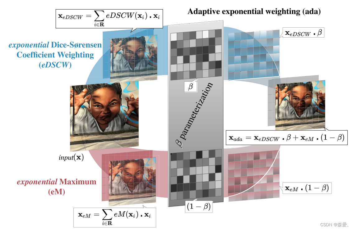 IEEE--AdaPool: Exponential Adaptive Pooling forInformation-Retaining Downsampling 论文翻译-CSDN博客