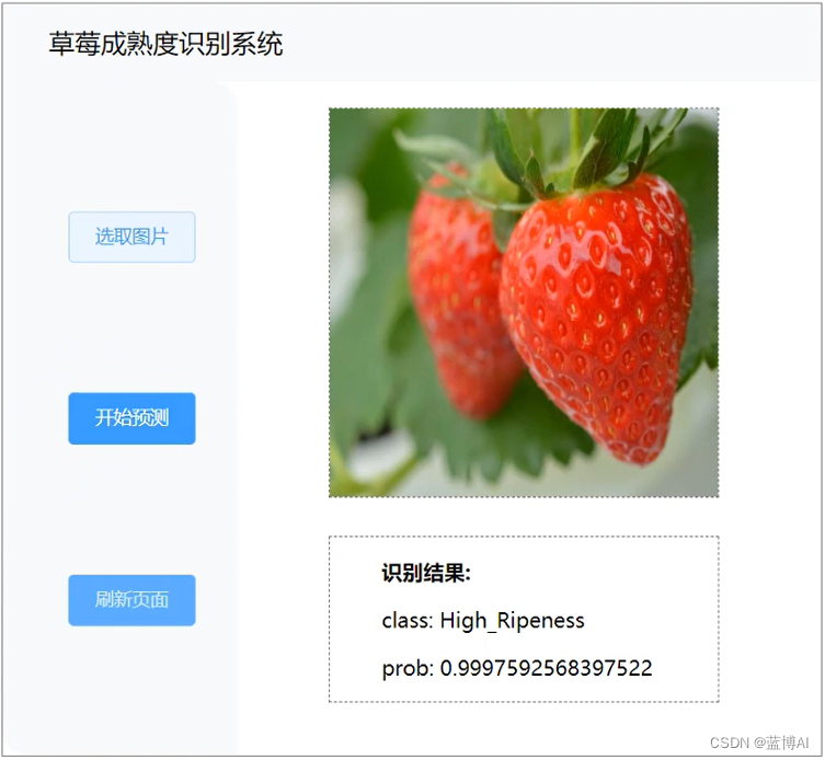 基于卷积神经网络的草莓成熟度识别，resnet50，vgg16模型（pytorch框架，python代码）草莓识别模型 Csdn博客 