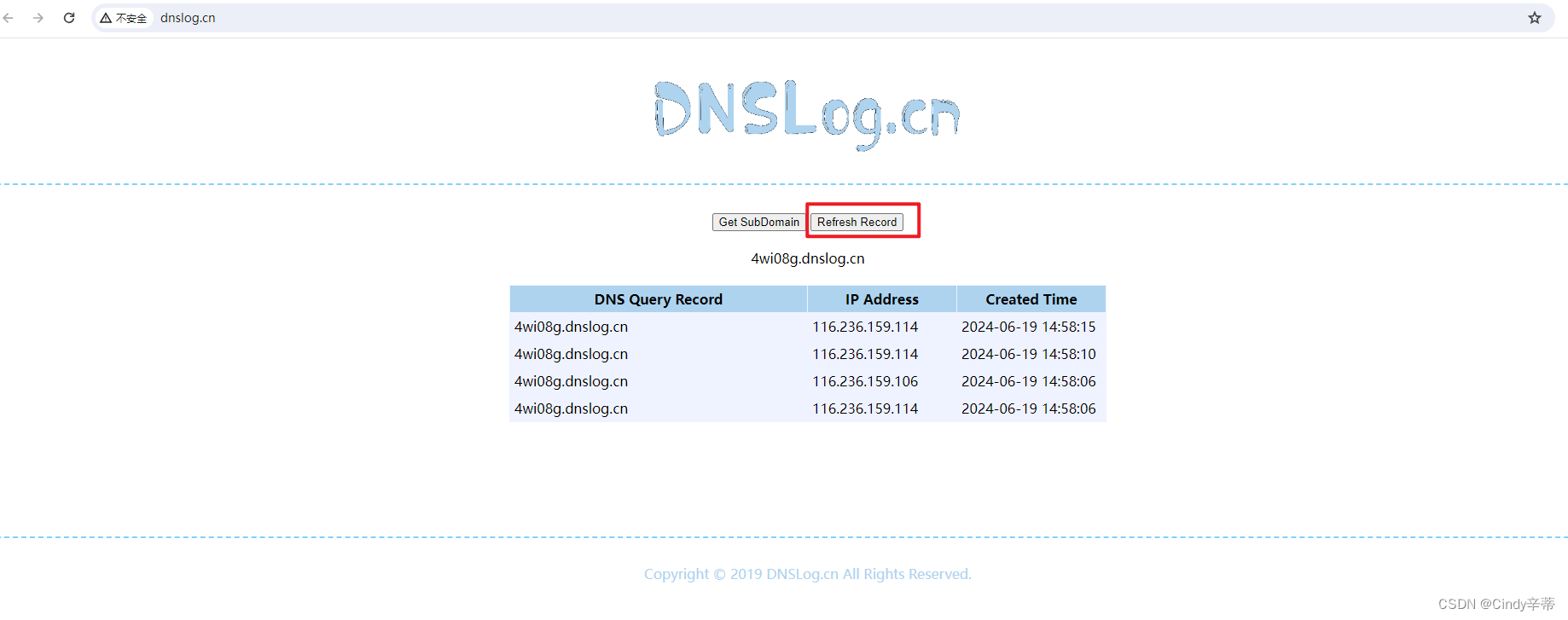 分享一个dnslog在线平台-CSDN博客