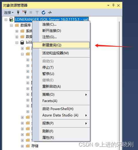 Sql server如何导入mdf,ldf文件_mdf文件怎么导入sqlserver-CSDN博客