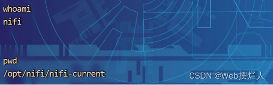 Apache NiFi API RCE 复现_nifi rce-CSDN博客