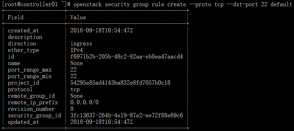 搭建高可用OpenStack（Queen版）集群（十二）之启动一个实例_openstack高可用集群-CSDN博客