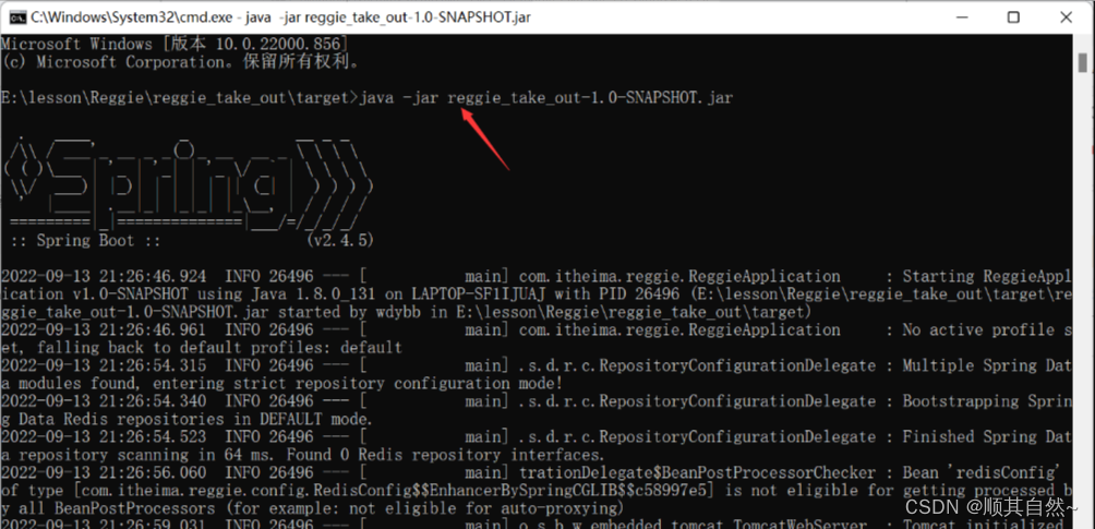 SpringBoot程序的打包与运行_spring boot打包启动跟本地不一样-CSDN博客