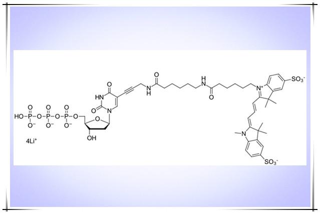 Sulfo Cyanine3 dUTP，磺基氰基3 dUTP，可以使用各种dNTP进行标记_cy3-dntp-CSDN博客