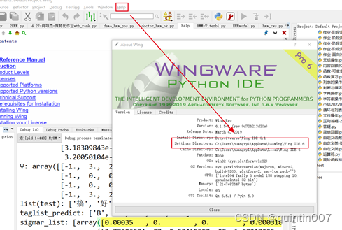 Wing IDE 解决鼠标悬浮_设置鼠标悬停大小快捷键-CSDN博客