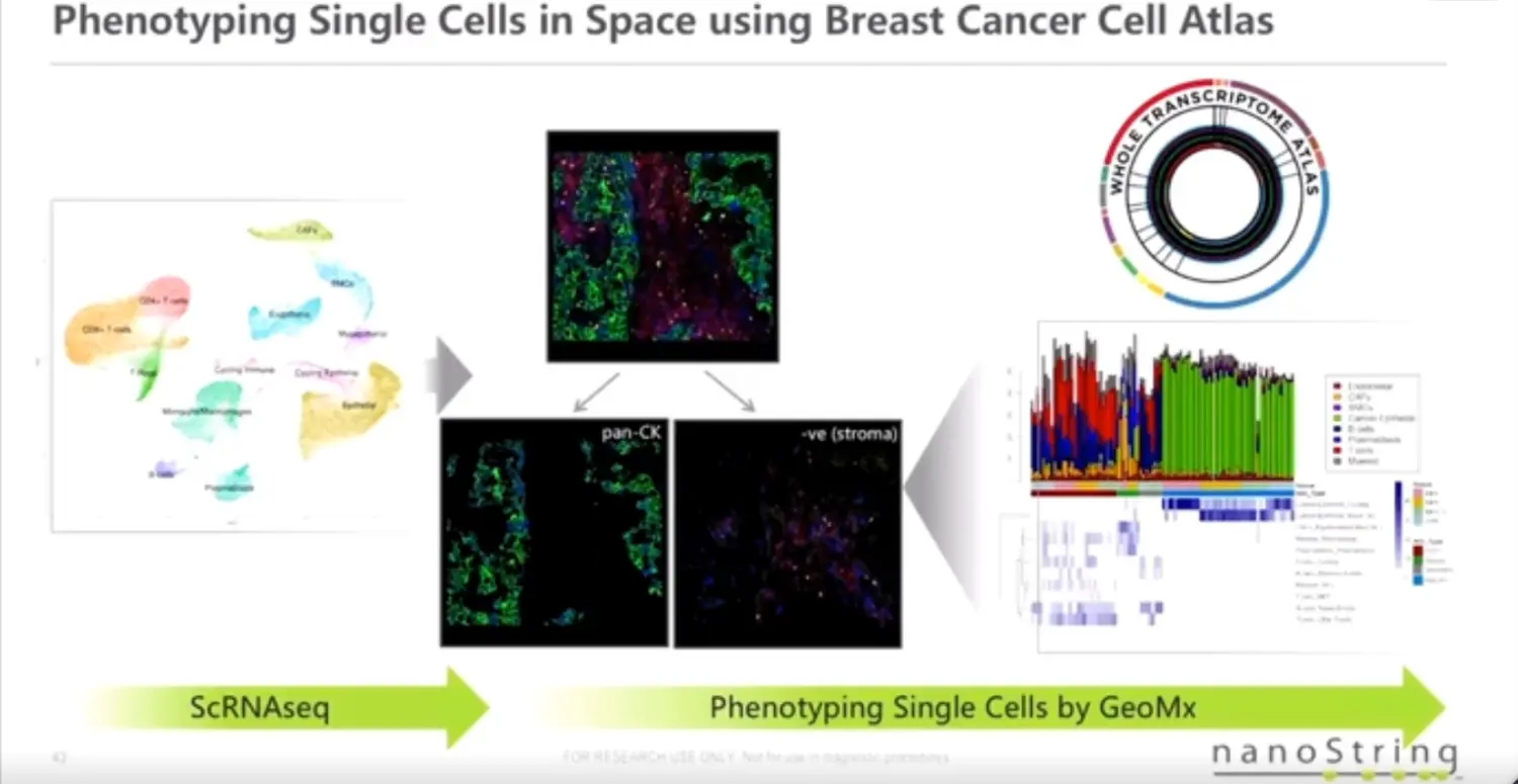 空间转录组检测靶点定量技术----Digital Spatial Profiler（DSP）_dsp空间转录组-CSDN博客