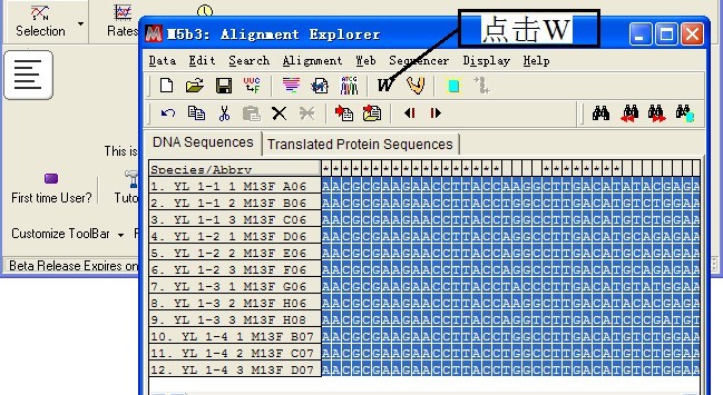 linux下phylip软件构建NJ树,MEGA软件——系统发育树构建方法（图文讲解）-CSDN博客