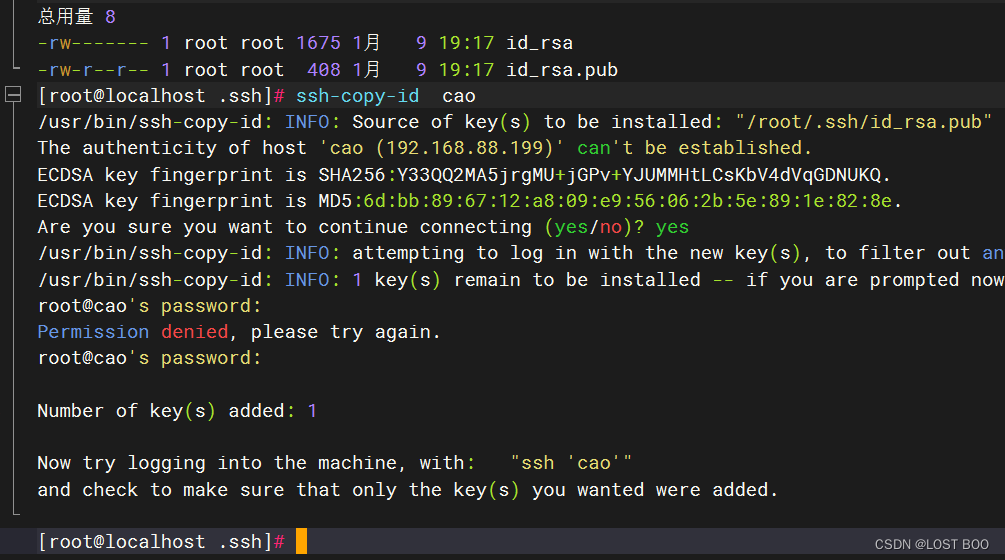Linux Day05-CSDN博客