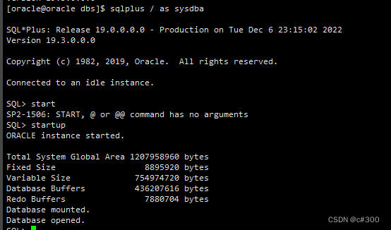 ORA-16032: parameter LOG_ARCHIVE_DEST_1 destination string cannot be translated 问题-CSDN博客