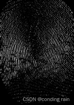 python指纹识别算法（亲测代码可用）_python fingerprint-CSDN博客