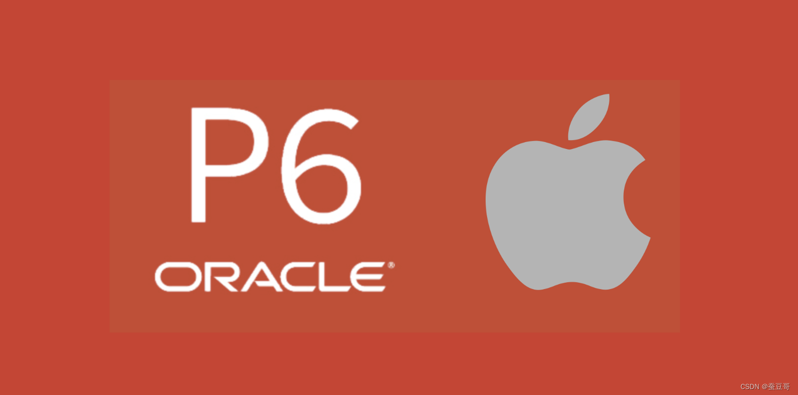 如何在Mac平台下使用ORACLE P6软件？_oracle支持mac系统吗-CSDN博客