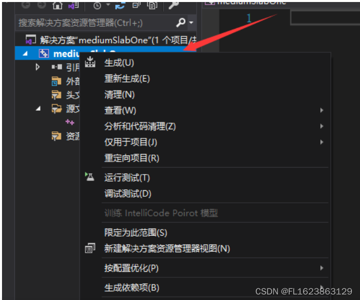 vs配置cplex12.10-CSDN博客