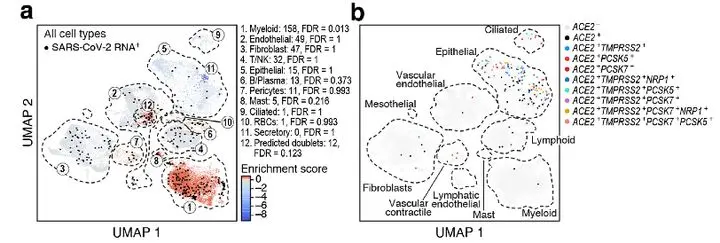 空间转录组检测靶点定量技术----Digital Spatial Profiler（DSP）_dsp空间转录组-CSDN博客