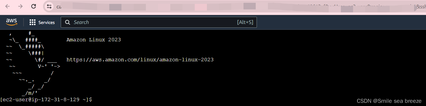 AWS注册使用以及如何连接xshell过程详细介绍_xshell连接aws-CSDN博客