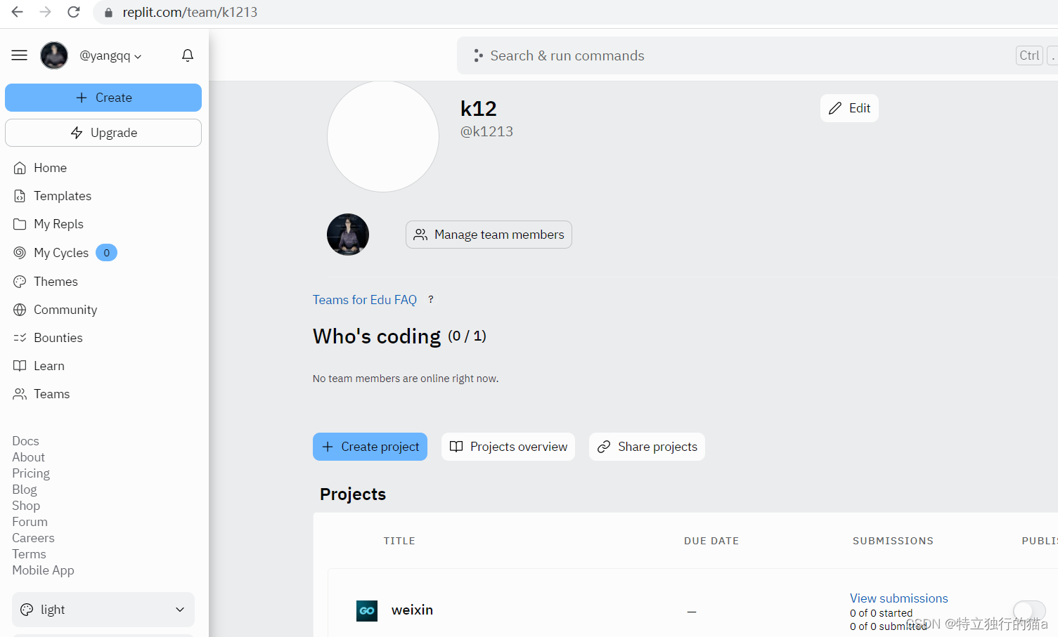 巧用replit搭建免费的个人云服务器-CSDN博客